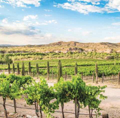 Media Kit - Verde Valley American Viticultural Area