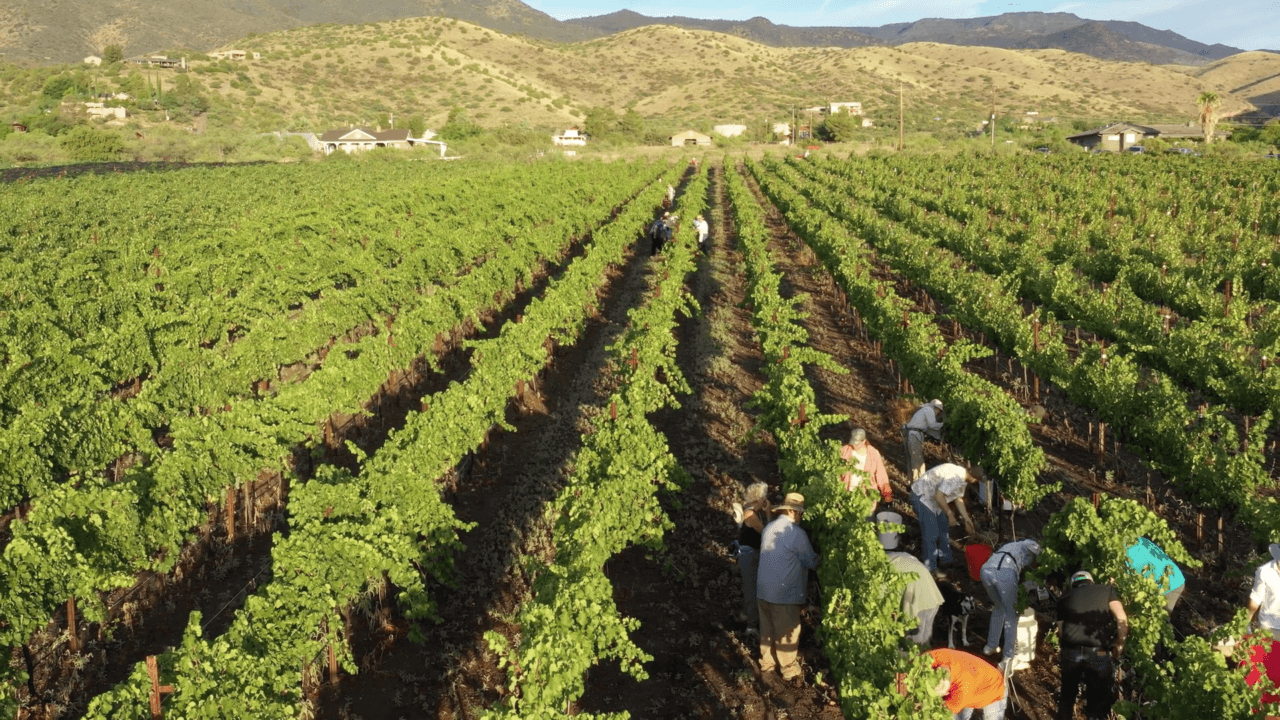 Media Kit - Verde Valley American Viticultural Area